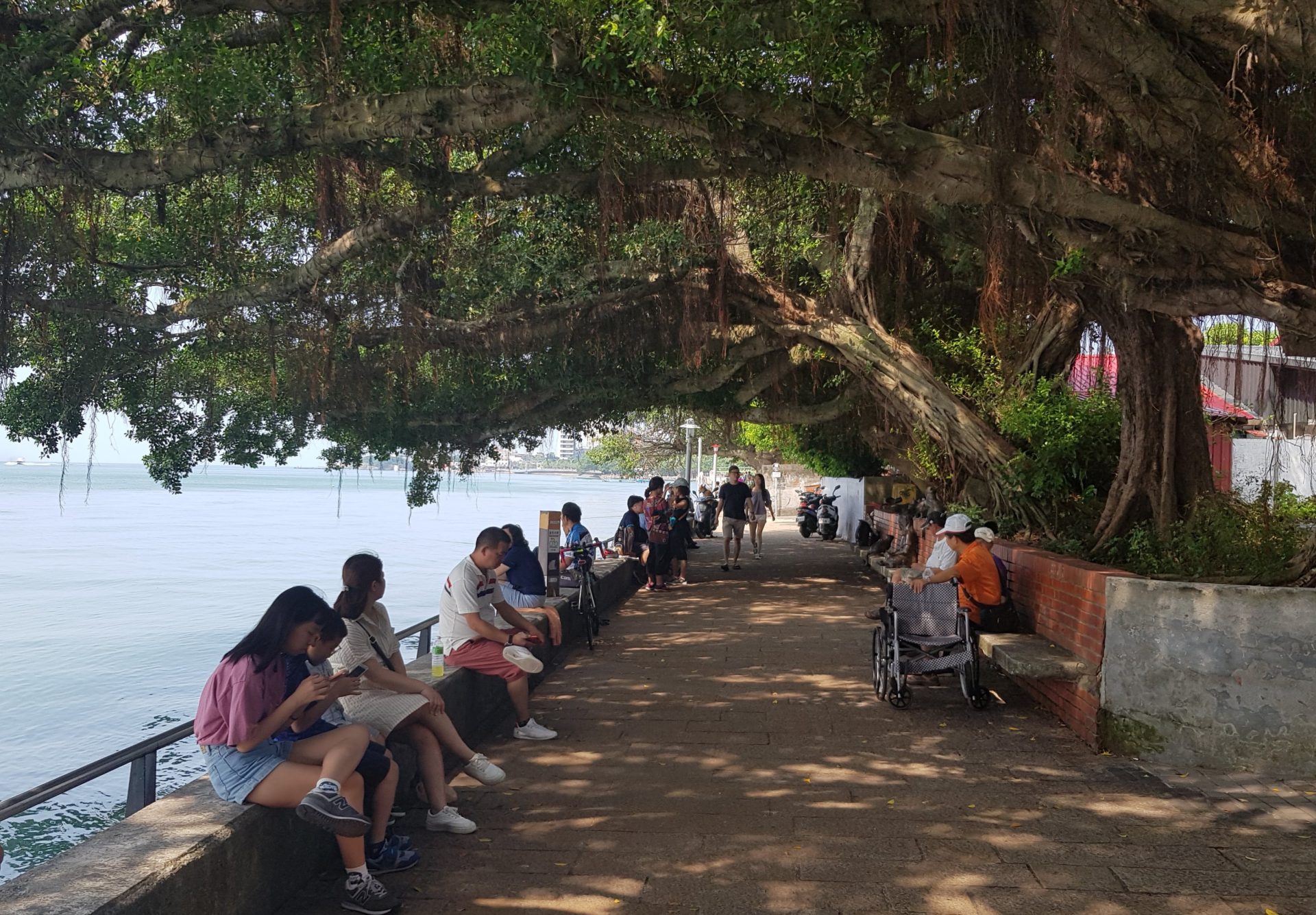 Exploring the Beautiful Riverside in Tamsui (Ferry Times Included ...