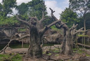 Taipei Zoo - Guide and Tips to Make the Most of Your Visit - Taipei ...