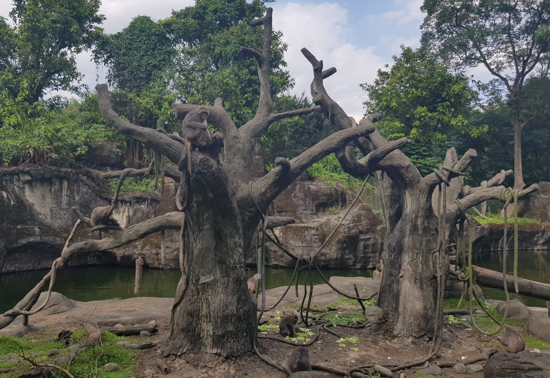 Taipei Zoo - Guide and Tips to Make the Most of Your Visit - Taipei ...