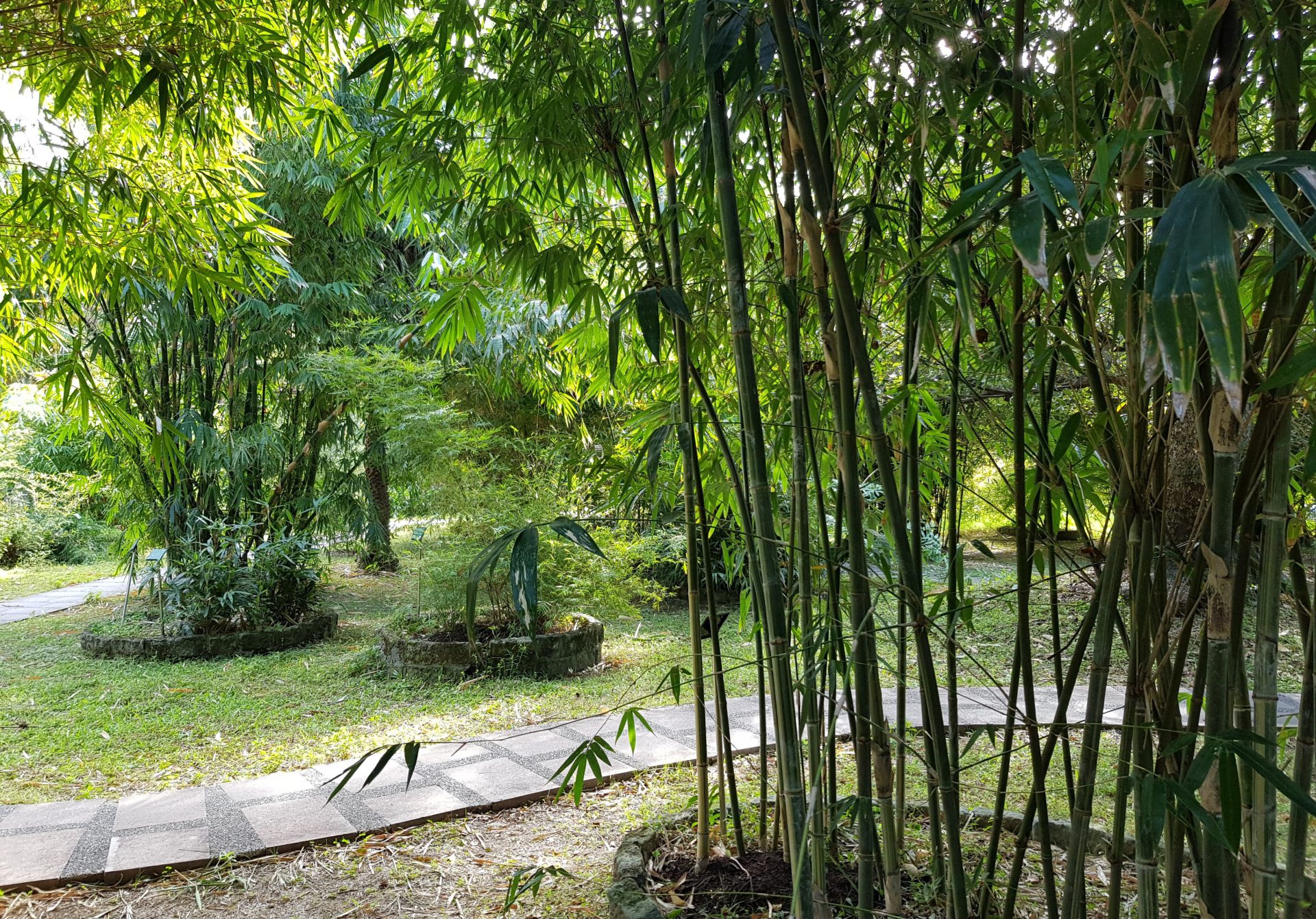 Over 1,500 Plant Species at Taipei Botanical Garden - Taipei Travel Geek
