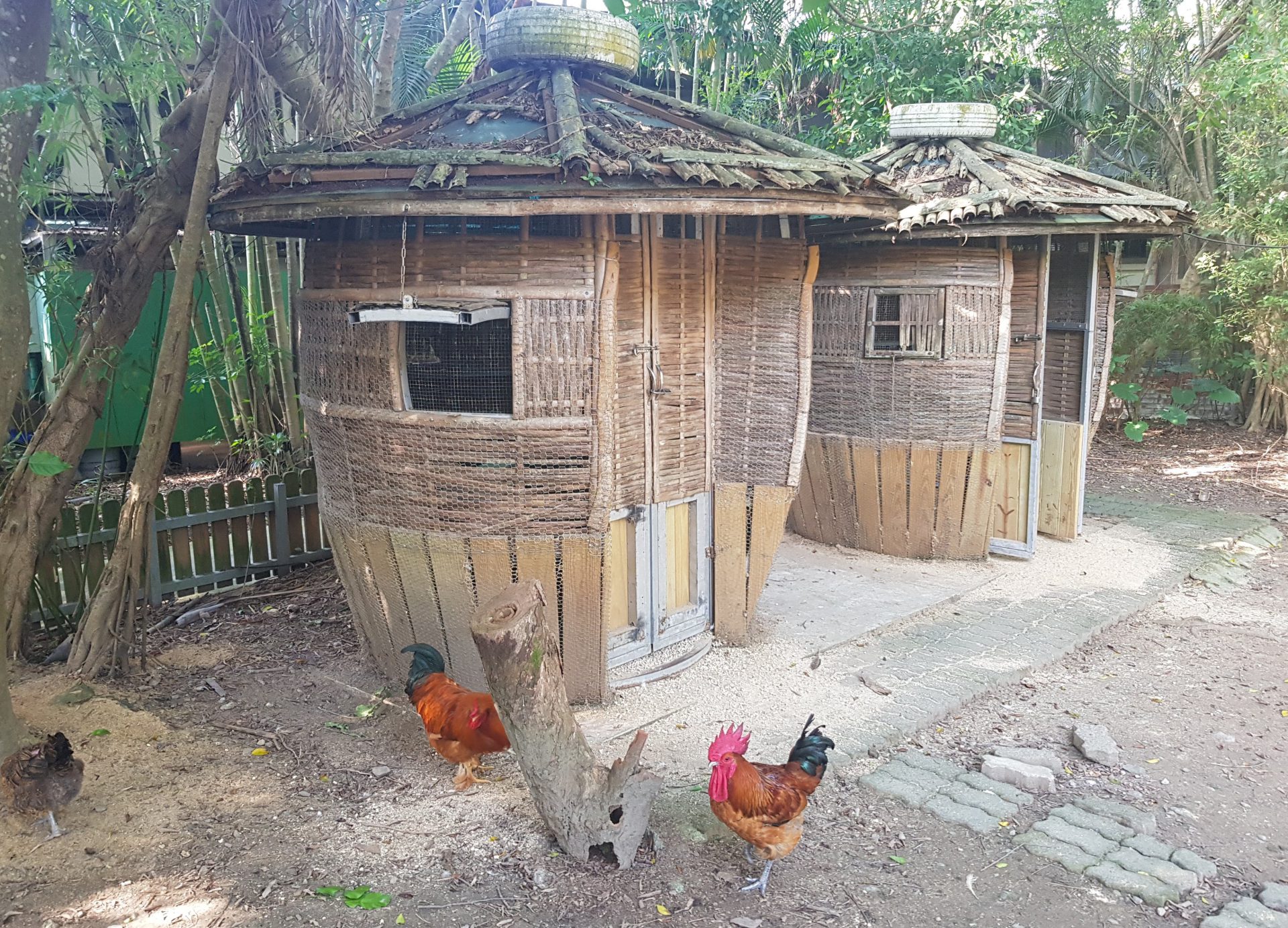 Taipei Zoo - Guide and Tips to Make the Most of Your Visit - Taipei ...