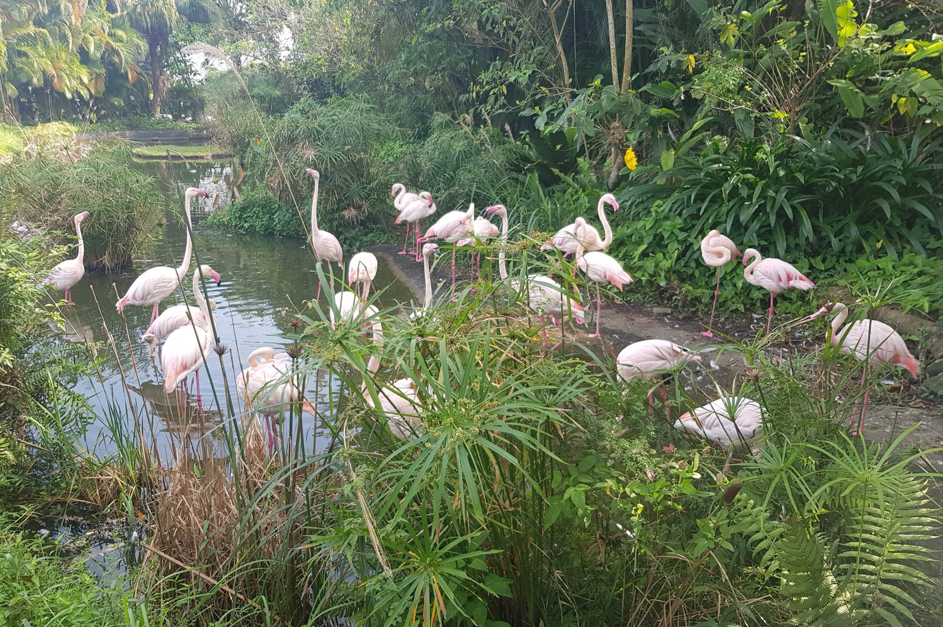 Taipei Zoo - Guide and Tips to Make the Most of Your Visit - Taipei ...