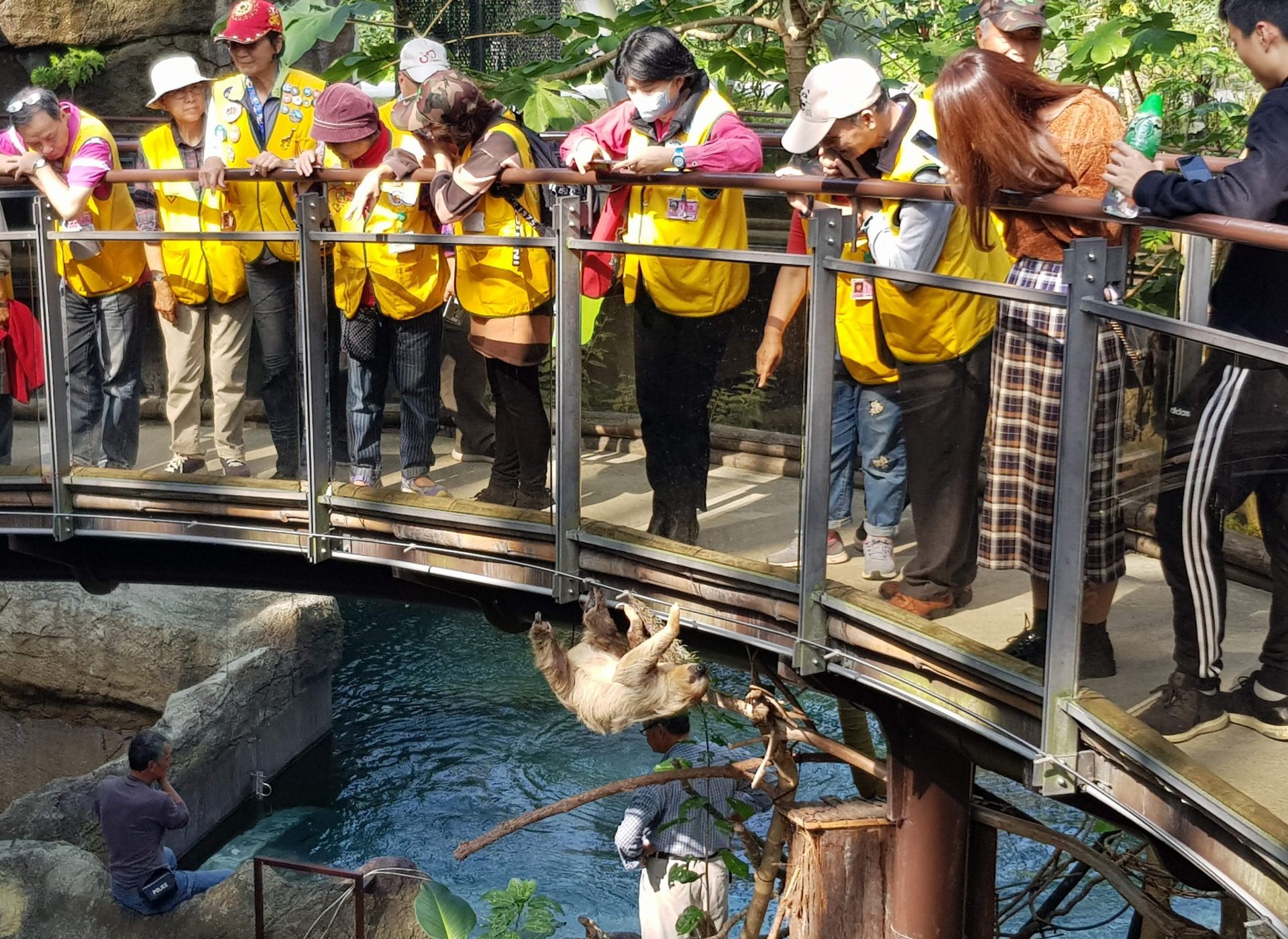 Taipei Zoo - Guide and Tips to Make the Most of Your Visit - Taipei ...