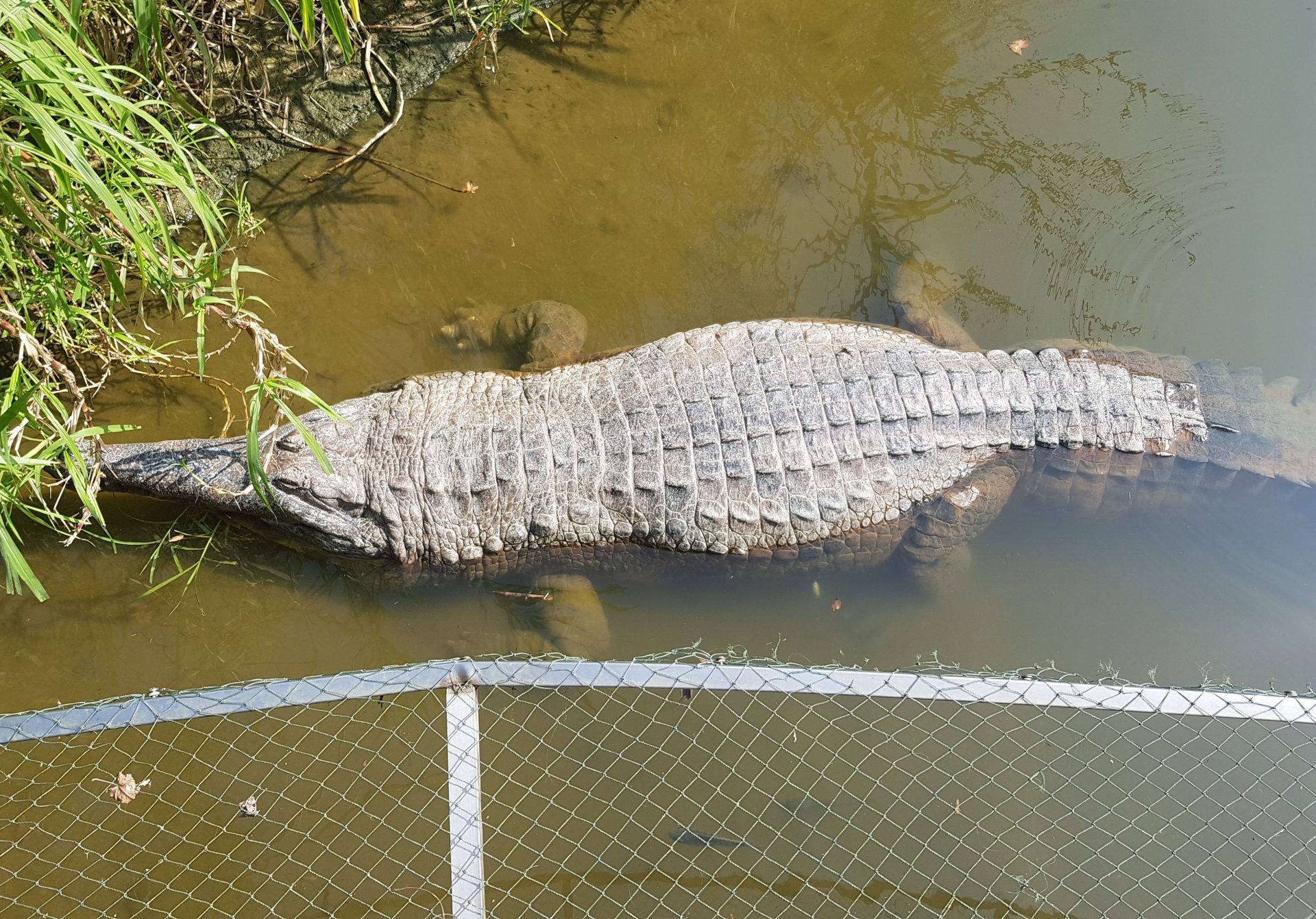 Taipei Zoo - Guide and Tips to Make the Most of Your Visit - Taipei ...